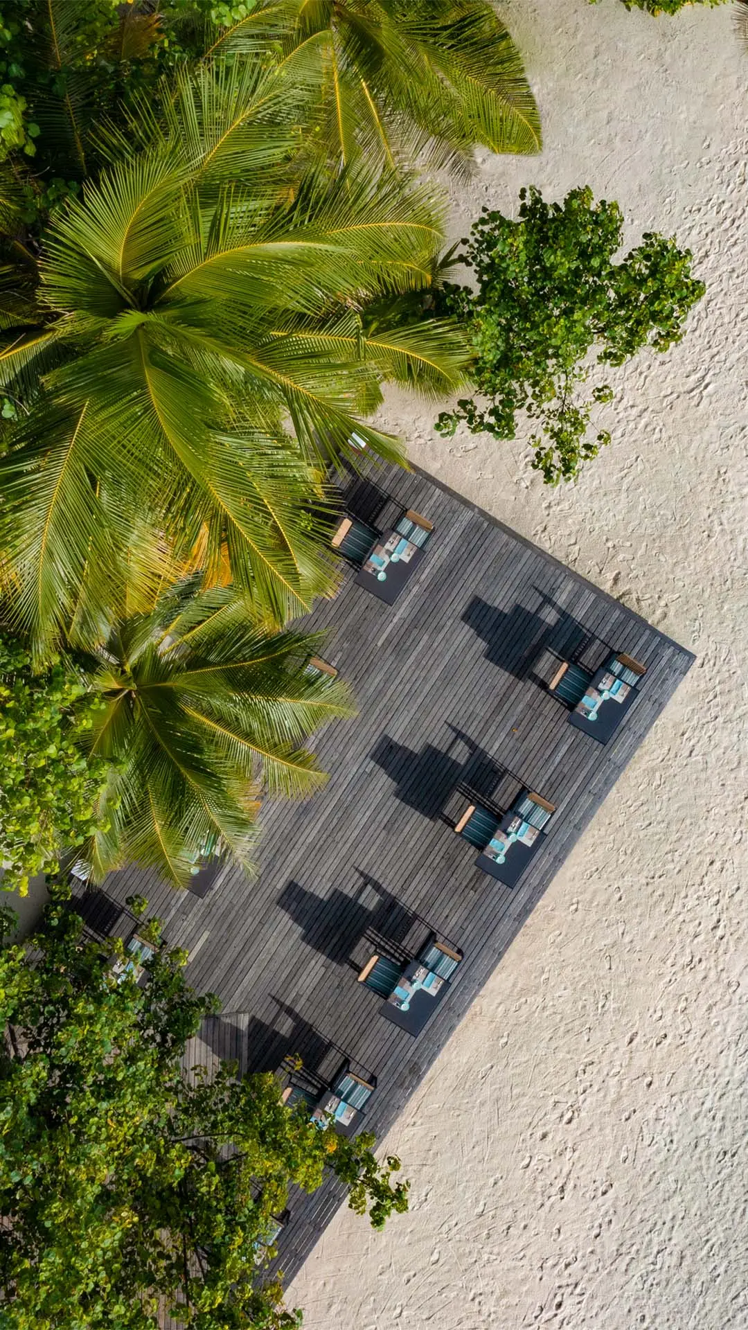 Maldives Beach Dining & Restaurants | Dhawa Ihuru Maldives