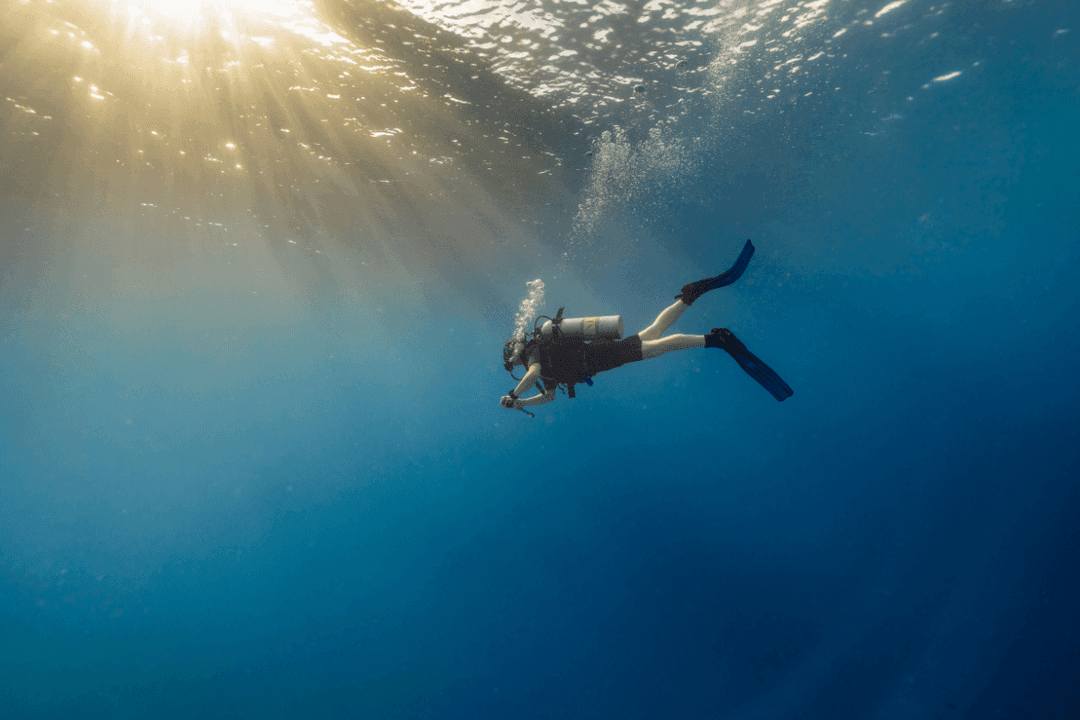 Shipwreck Dives & Marine Life in the Maldives | Dhawa Ihuru